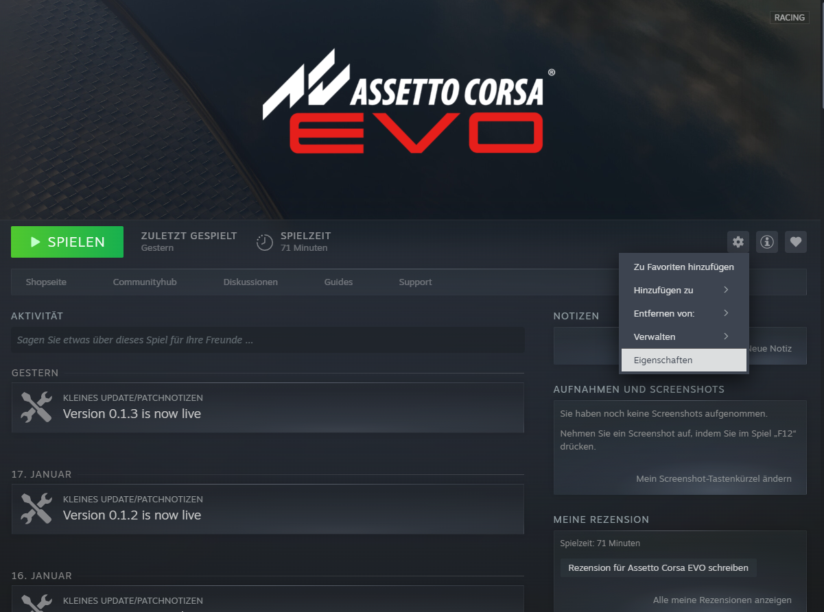 Assetto Corsa Evo Online Modus aktivieren | Simracingreport